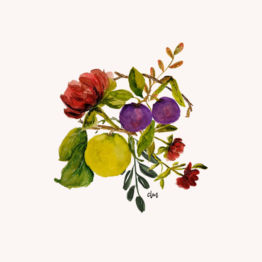 Vintage Fruit & Designs